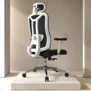 Realspace Levari Mid fashion Back