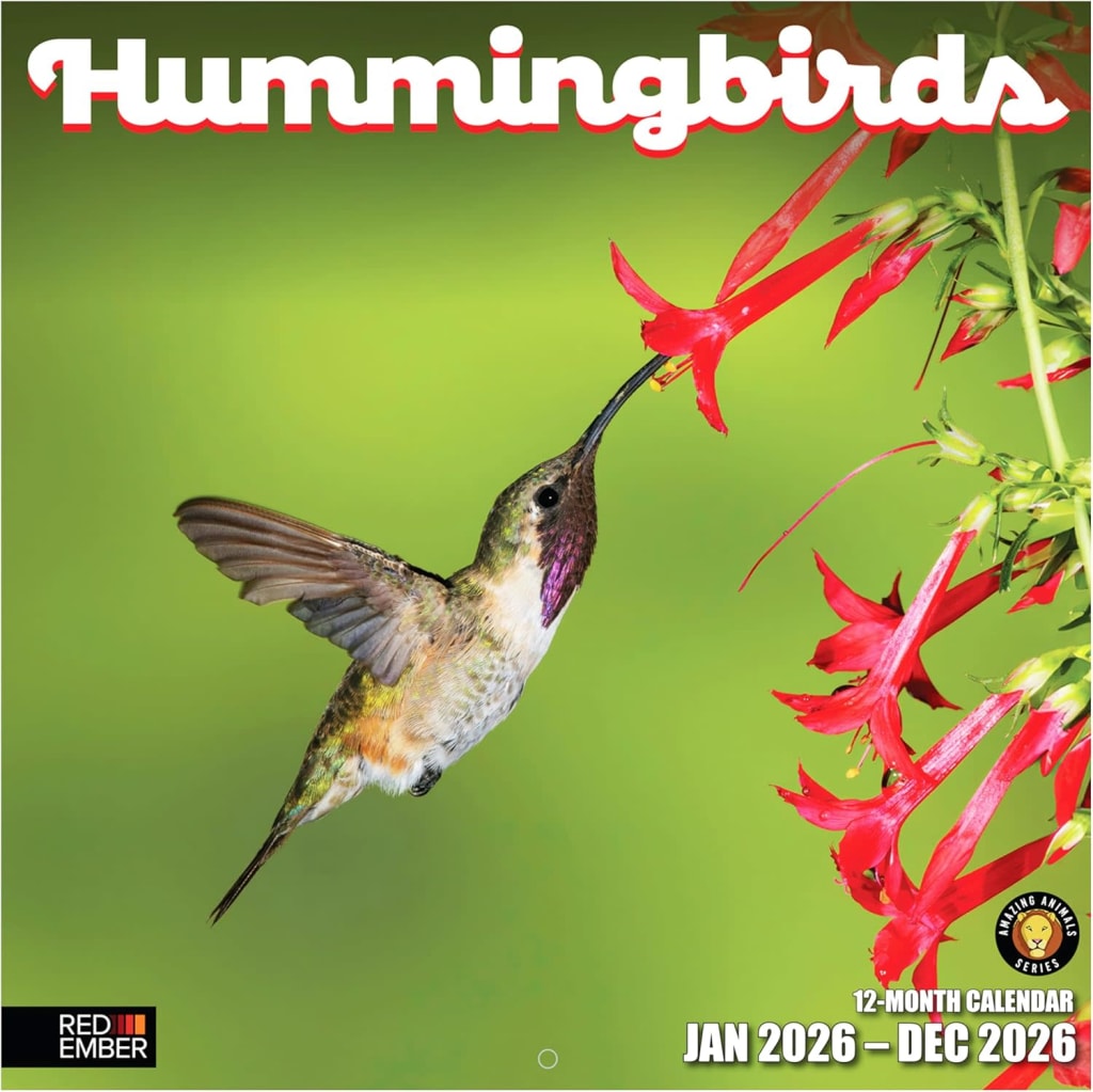 Hummingbirds 2026 Wall Calendar: $2.99