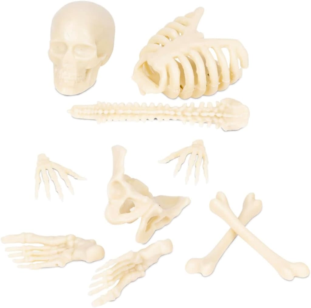 Itty Bitty Bones Glow in The Dark 10-Piece Set: $8.17