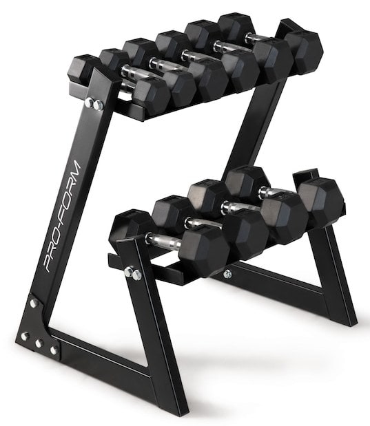 ProForm 10-Piece 15-lb. Dumbbell Set for $150 - PFDBKR10021