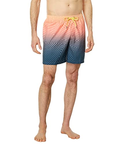 Quiksilver Men's Standard Everyday Warped Logo 17 Volley Swim Trunk ...