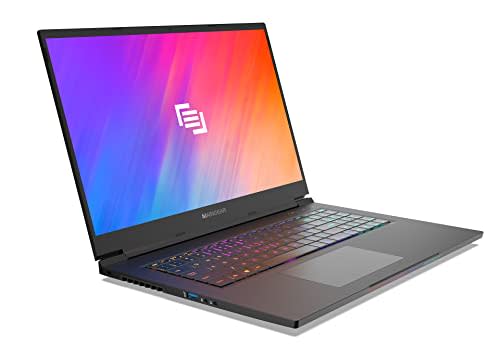 MAINGEAR Vector Pro 2 (2022) 17.3 inch RTX 3070 Ti Gaming Laptop, AMD ...