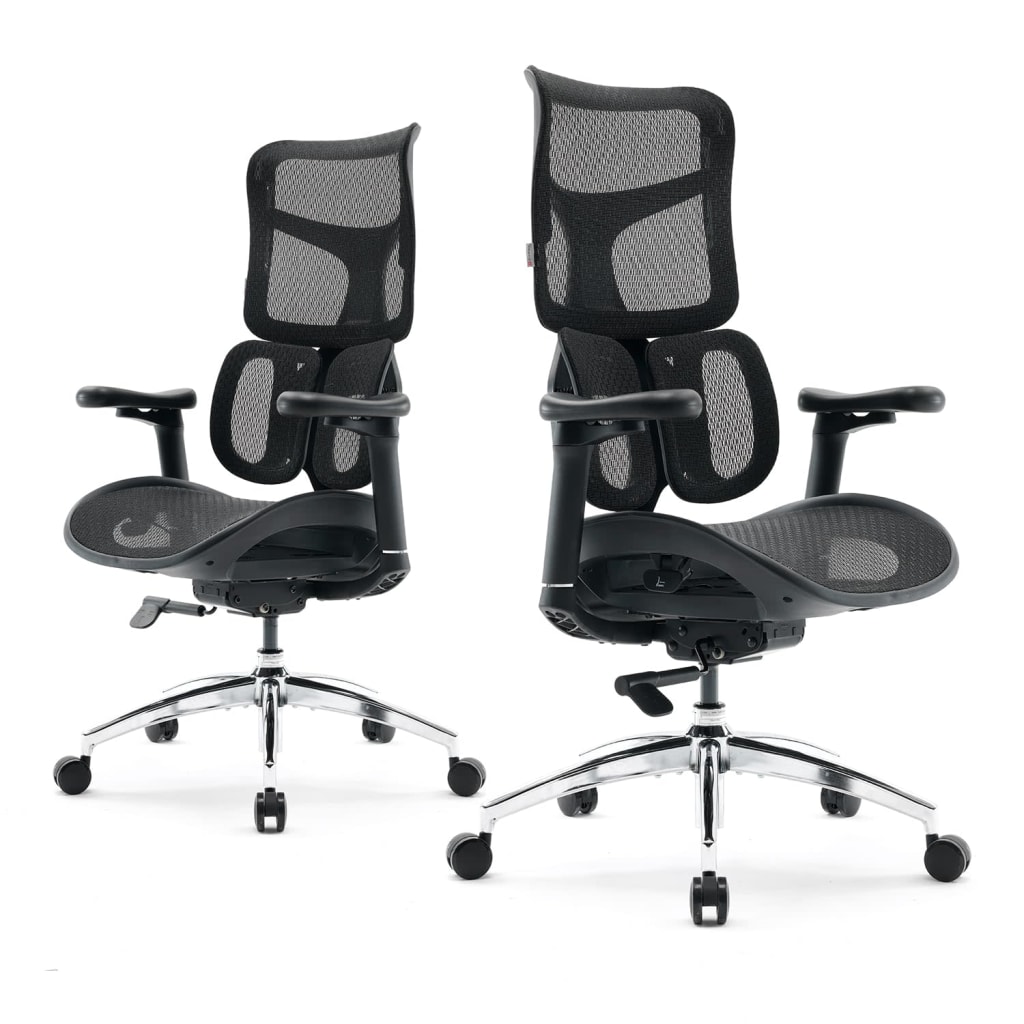 Sihoo Doro S100 Ergonomic Office Chair for $230 - S100 M101