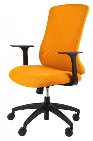 FlexiSpot Ergonomic Office Chair for $180 - OC15