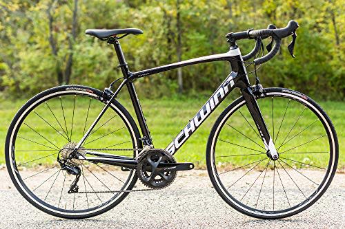Schwinn Fastback Carbon Road Bike, Fastback Carbon 105, 48cm/Small ...