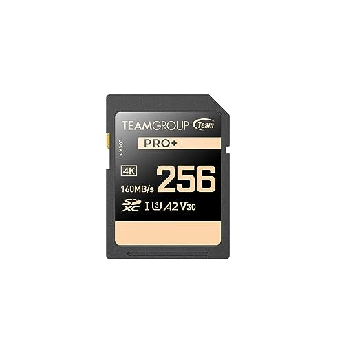 TEAMGROUP PRO 256GB UHS-I U3 A2 V30 4K UHD Read/Write Speed up to 160 ...