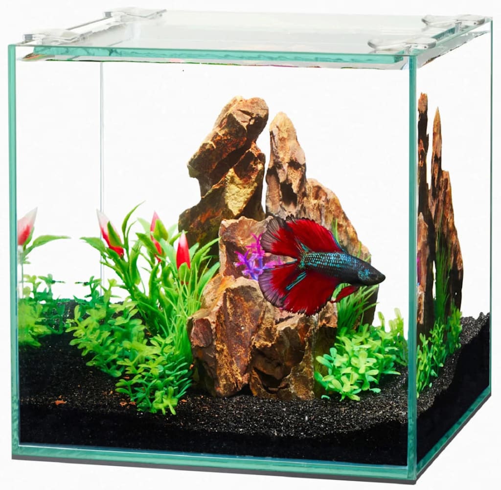 Aqueon 1-Gallon Frameless Cube Aquarium for $13 via pickup - 3112884