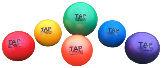 TAP Extreme Duty Weighted Ball Set for $35 - EDSN