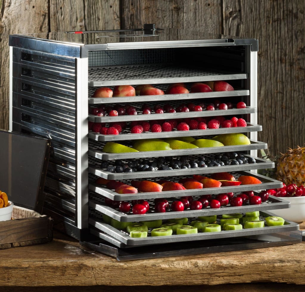 LEM Products LEM Mighty Bite 10-Tray Double Door Food Dehydrator for ...